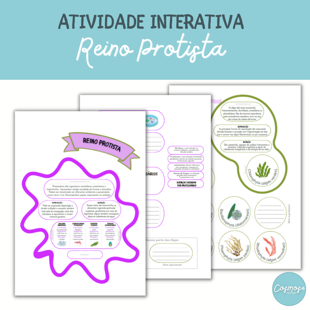 COMBO – OS 5 REINOS - Cosmos Educação